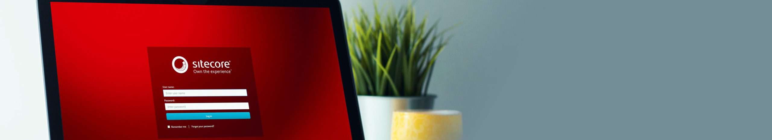Sitecore EXM is the Ultimate Email Tool for Enterprise Marketing